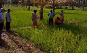 Land disputes remain key challenge as ministry seeks 308bn/ - Daily News
