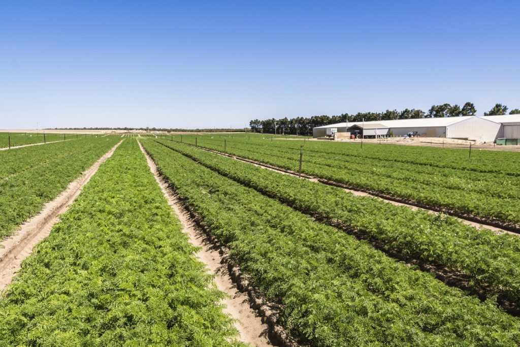 ZAECA reforms bear fruits in anti-graft campaign - Daily News