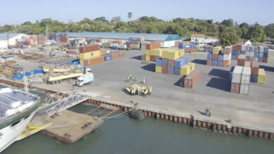 Stakeholders laud Samia for revitalising Tanga Port - Daily News