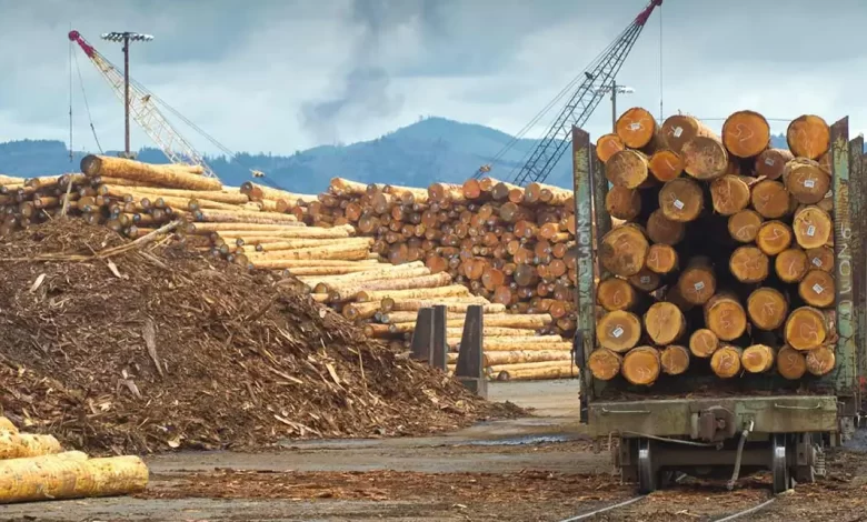 Why timber is solution to urbanisation, carbon emissions - Daily News