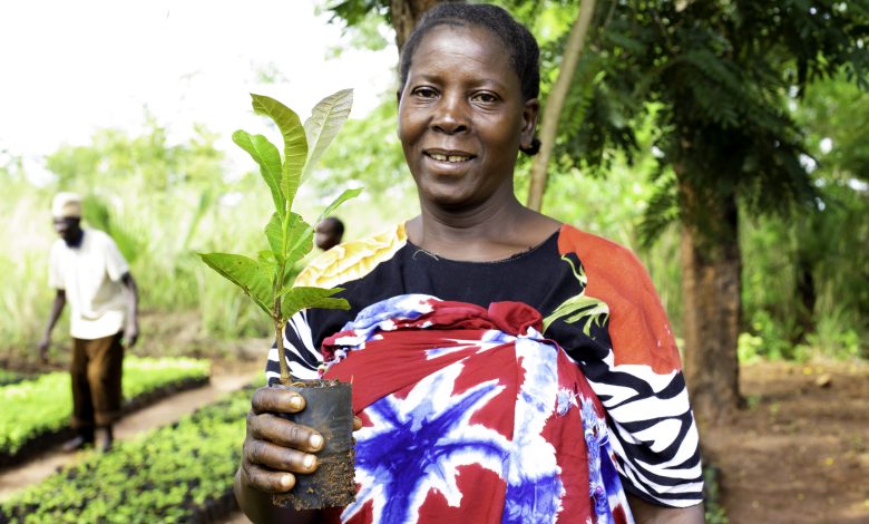 EBARR project promotes climate smart agriculture in rural - Daily News