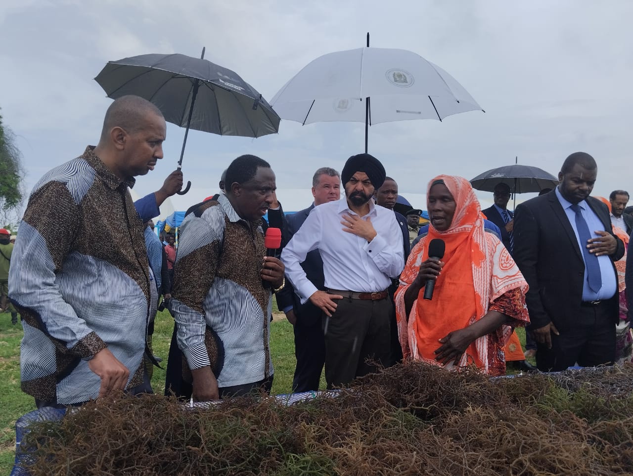 From Muungoni with love: WB leader excited to meet seaweed farmers ...