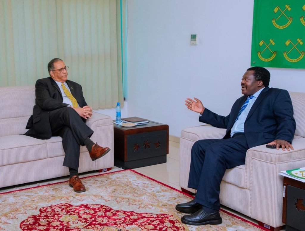 Nchimbi: Samia committed to good governance - Daily News