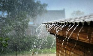 Heavy rains disrupt transport, flood homes across Tanzania - Daily News