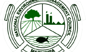 NEMC: Observe levels of waste allowed by law - Daily News