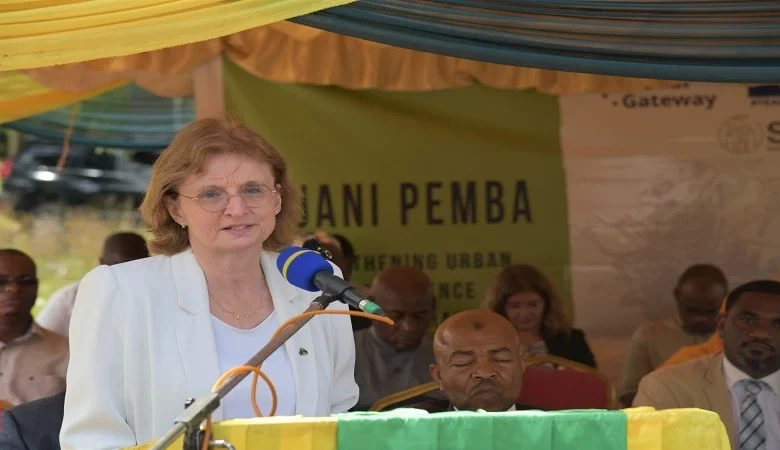 EU launches green, smart cities SASA programme in Pemba - Daily News