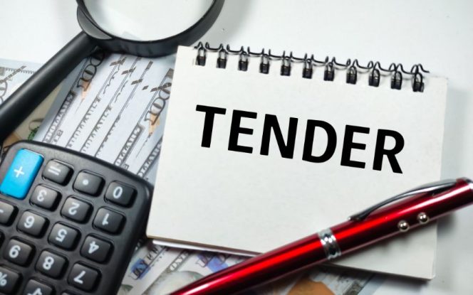 Locals take lion’s share of public tenders - Daily News