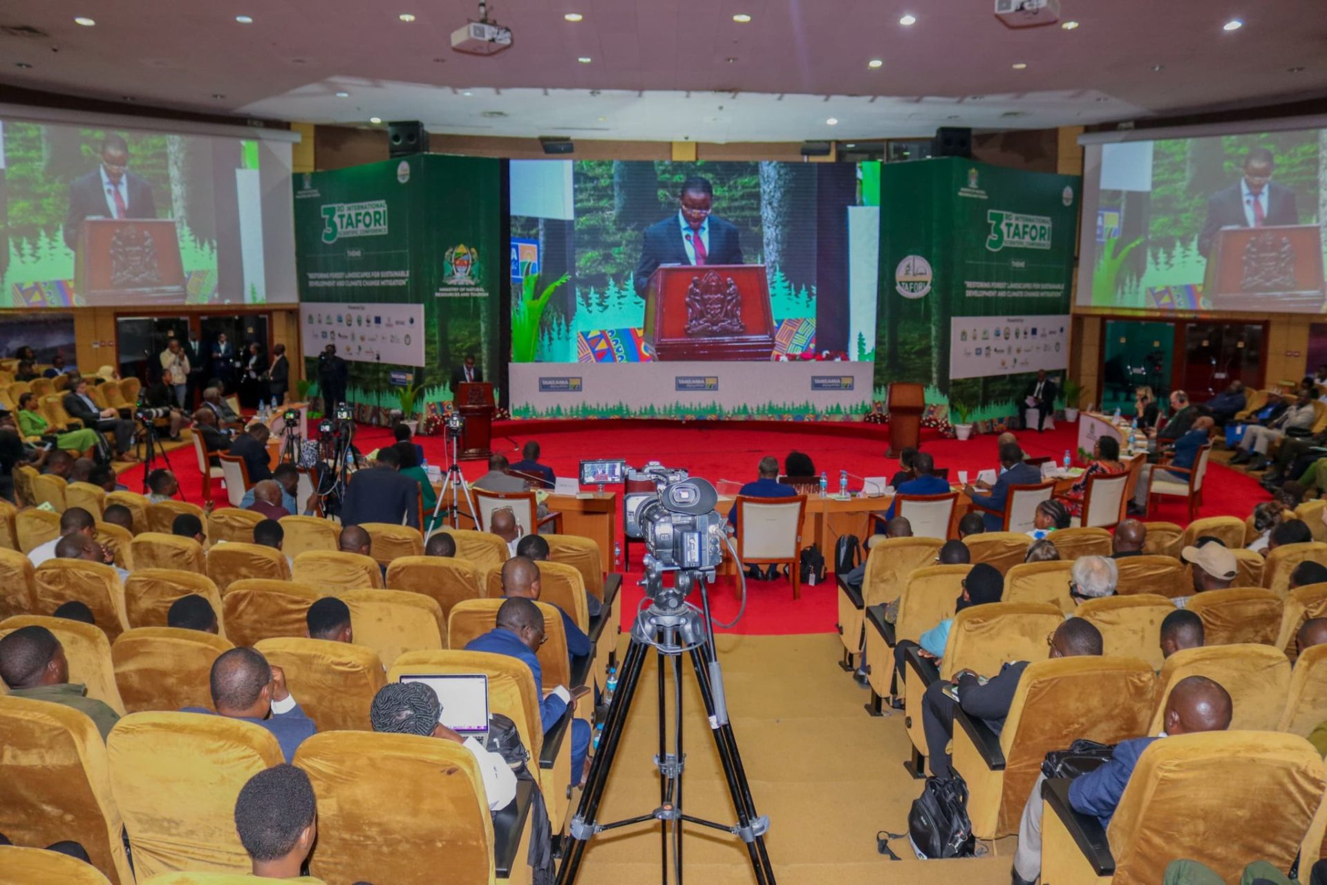 Arusha DC warns against deforestation - Daily News