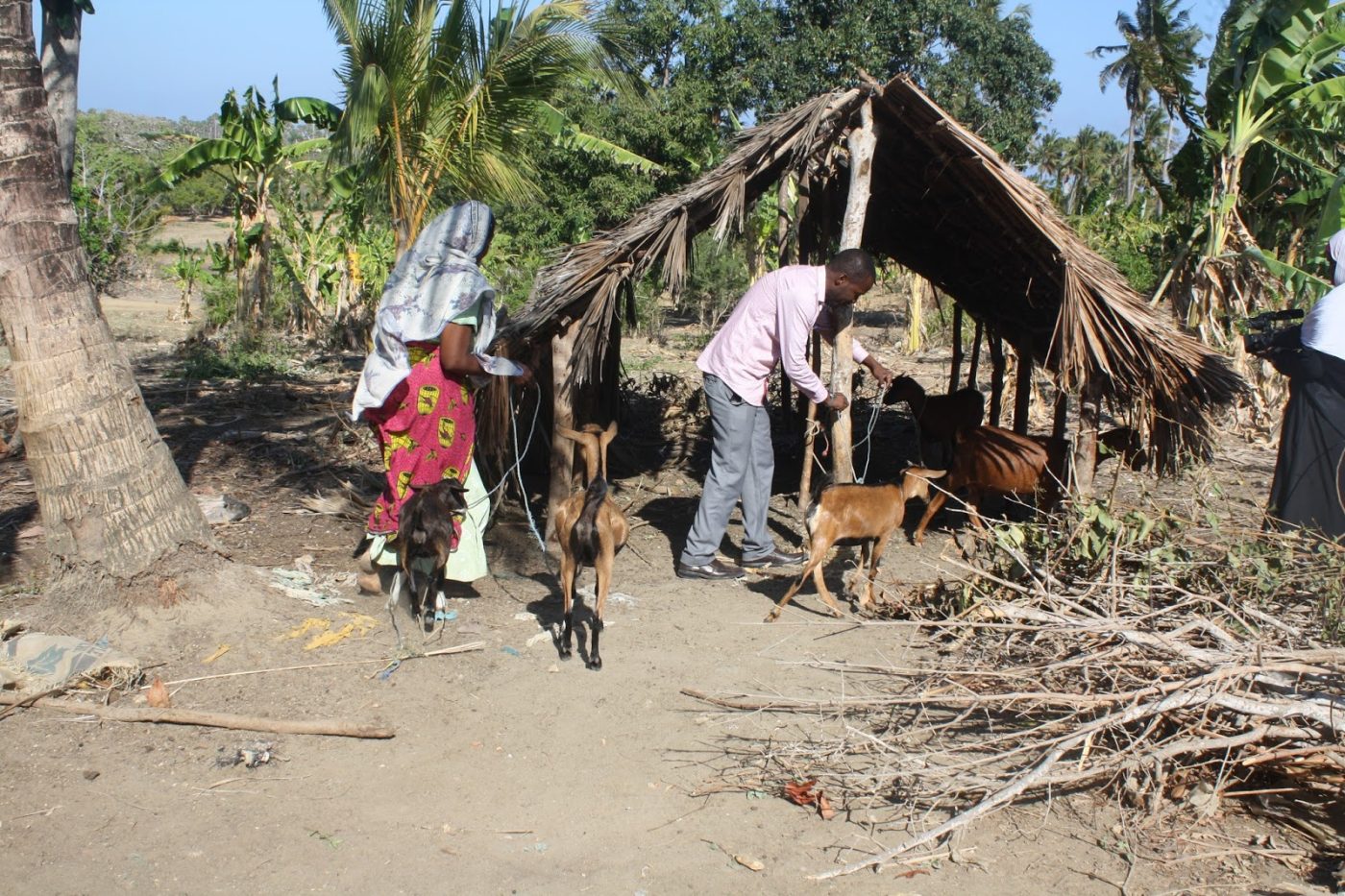 Tanzania secures 783bn/- for poverty reduction - Daily News
