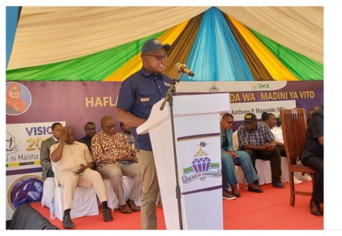 2024 ends with the resumption of Tanzanite auctions - Daily News