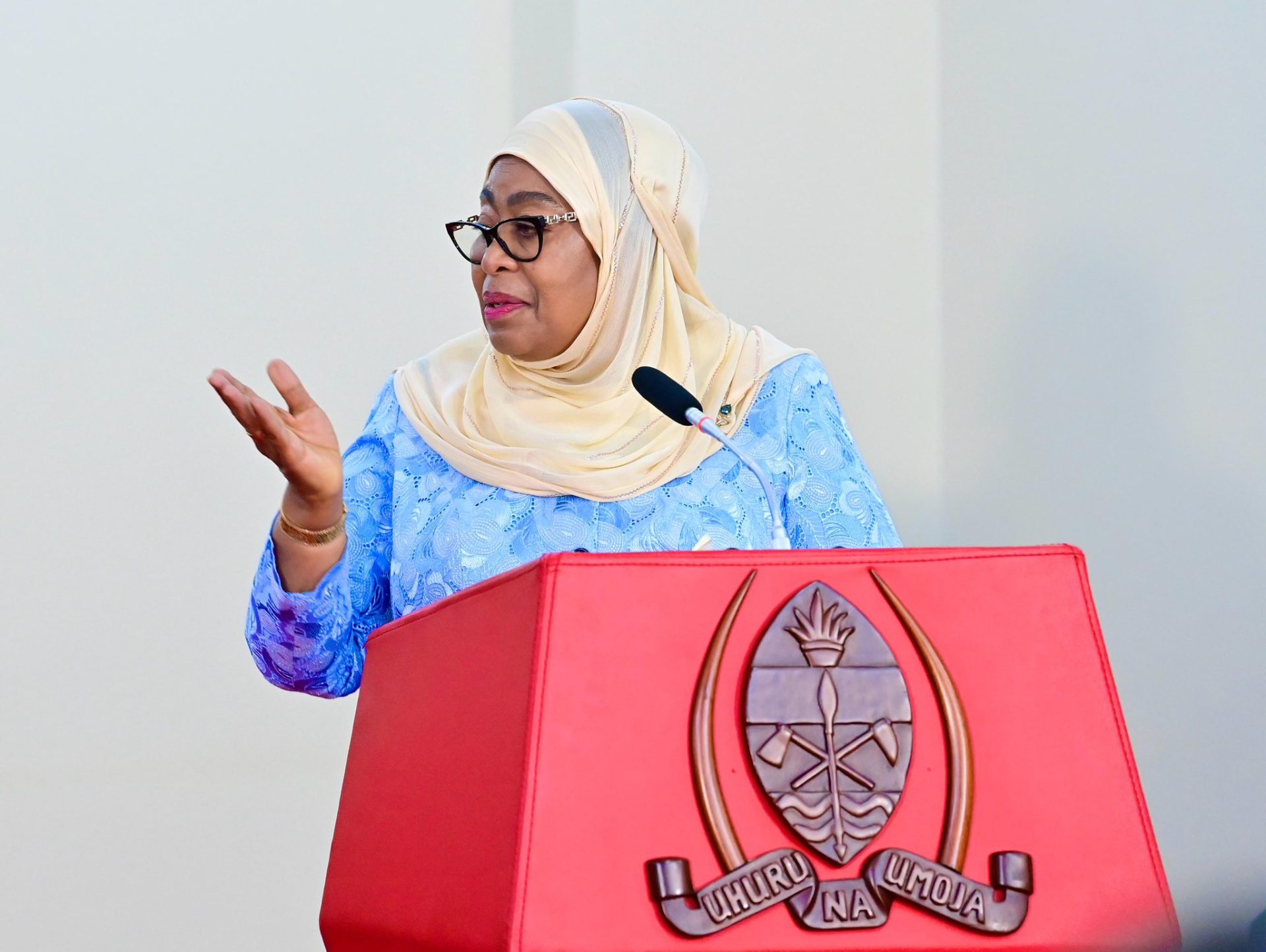 Stephen Wasira: CCM’s mastermind - Daily News