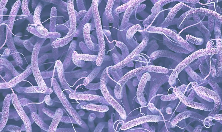 Cholera outbreak claims two lives, 37 infected in Sumbawanga - Daily News