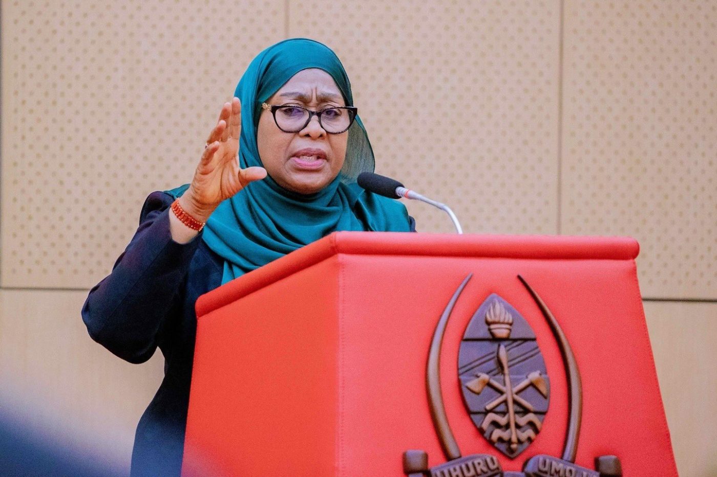 President Samia Calls on Women to Break Barriers and Lead - Daily News