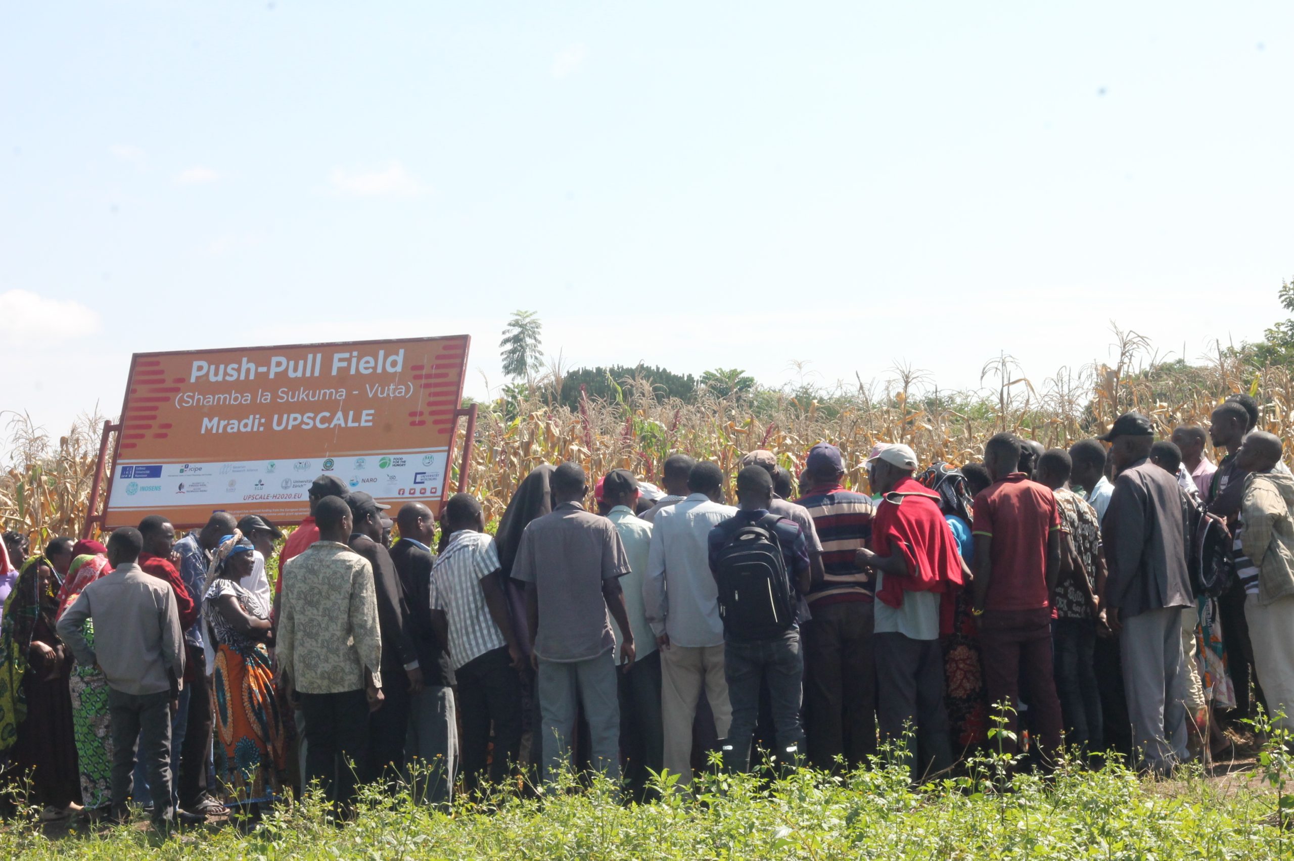 Over 160 famers equipped with innovative Push- Pull Pest Management ...