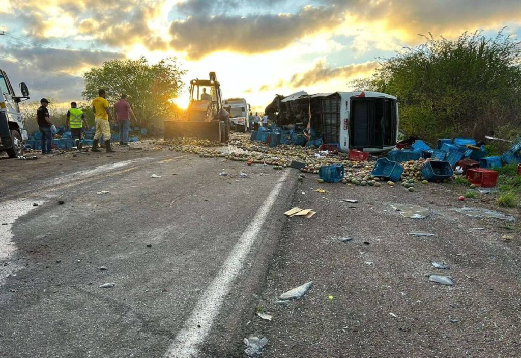 Twelve university students killed in Brazil bus crash: officials ...