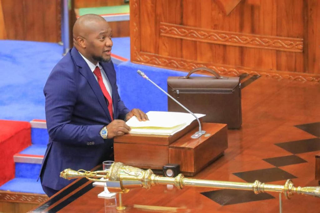 TAMISEMI budget for 2025/26 soars by 1.66tri/ - Daily News