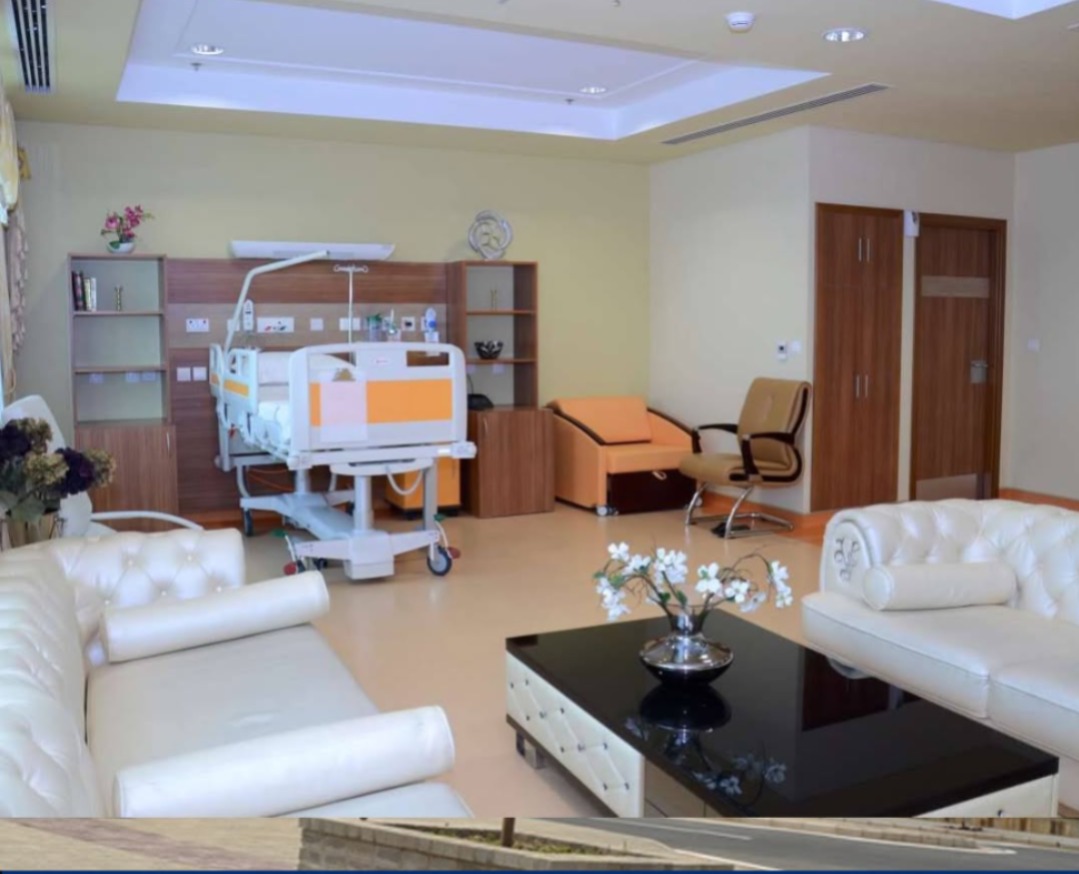 Muhimbili risks losing 72m/- construction as VIP wards suspended ...