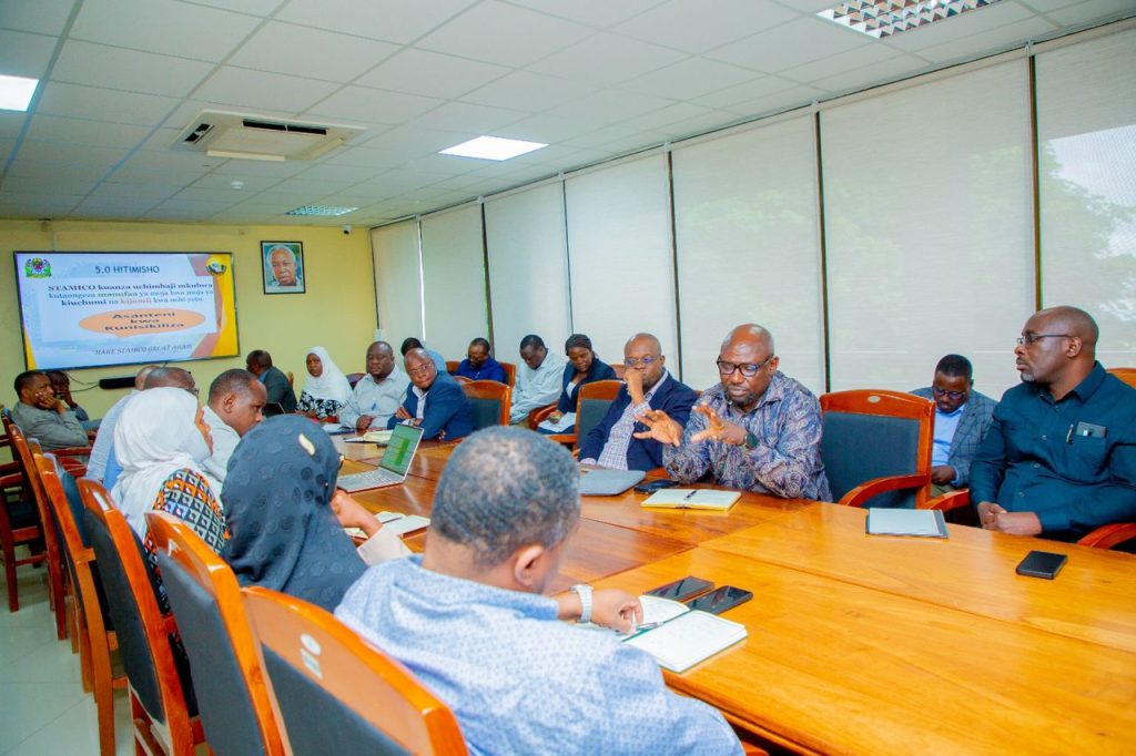 STAMICO sets sights on strategic mineral investments - Daily News