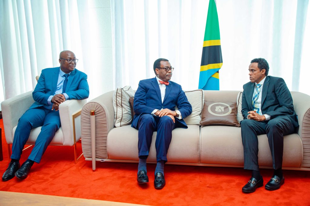 AfDB President in Tanzania to witness major projects - Daily News