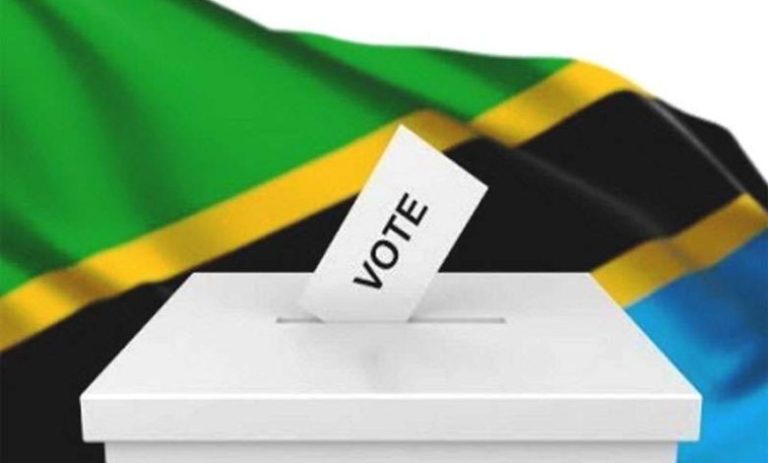 ZEC forms ethics body ahead of 2025 polls - Daily News