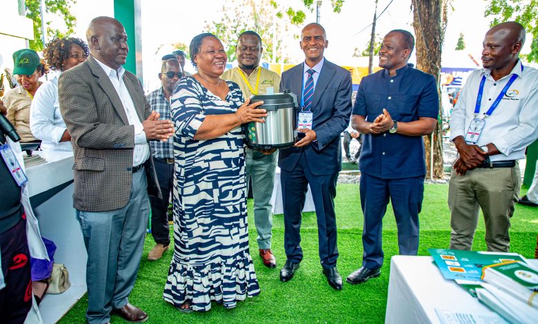 TANESCO completes mega electricity projects in Mbeya, Rukwa - Daily News