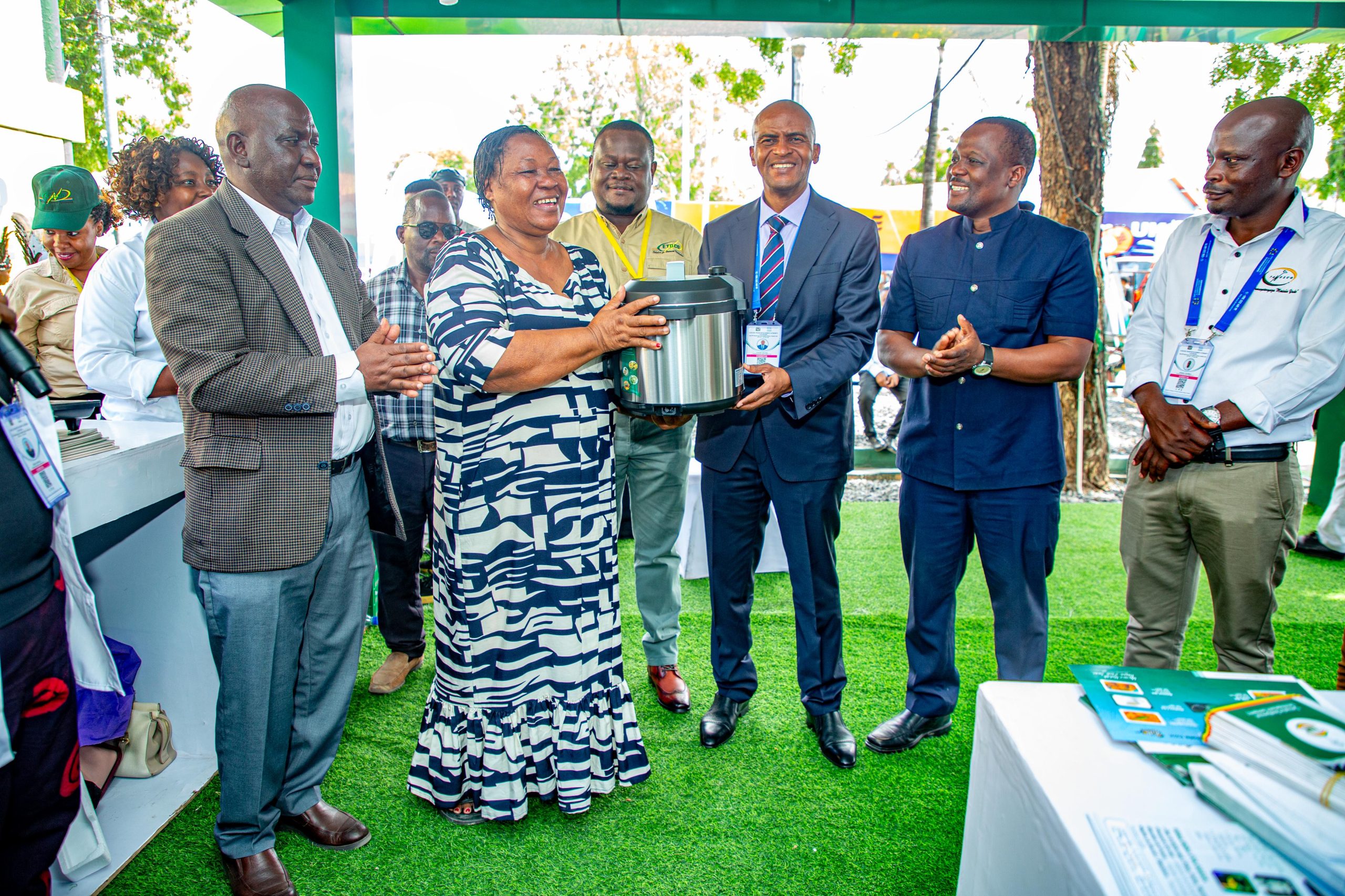 TANESCO completes mega electricity projects in Mbeya, Rukwa - Daily News