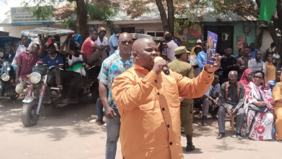 NLD pledges to end water, health, and road woes in Kwimba - Daily News