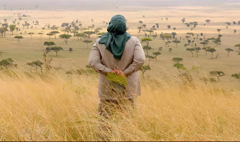 ROYAL TOUR, AMAZING TANZANIA: Films drive tourism surge - Daily News