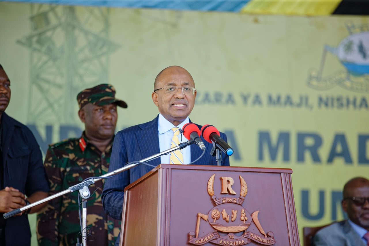 Zanzibar launches $8.4m power stabilisation project - Daily News