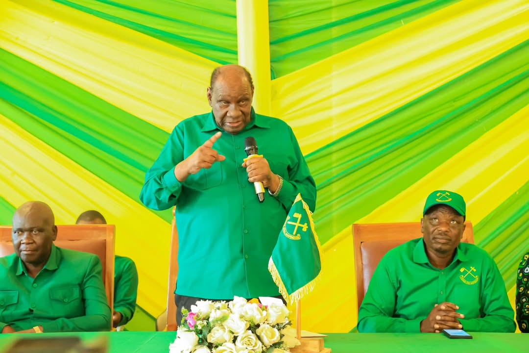 Wasira assures Tanzanians of peaceful General Elections - Daily News