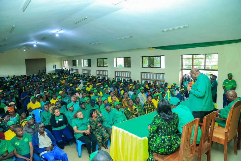 Wasira assures Tanzanians of peaceful General Elections - Daily News