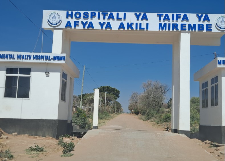 Tanzanians urged to utilise Mirembe mental health services - Daily News