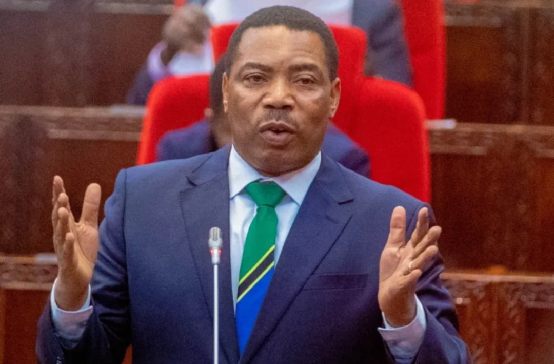 Dr Nchemba names his people-favoured priorities - Daily News
