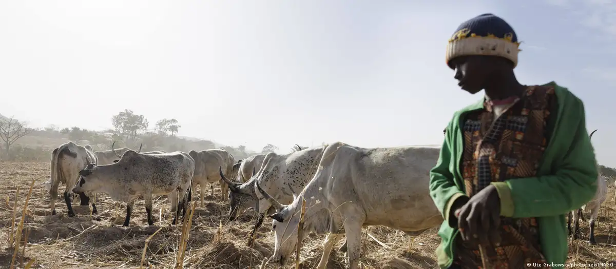 Nigeria: Millions to face severe hunger as WFP funds run out - Daily News
