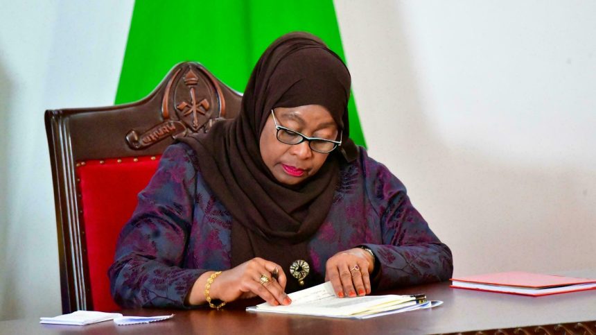 Mhando, Machumu appointed to handle top posts in the Communication ...