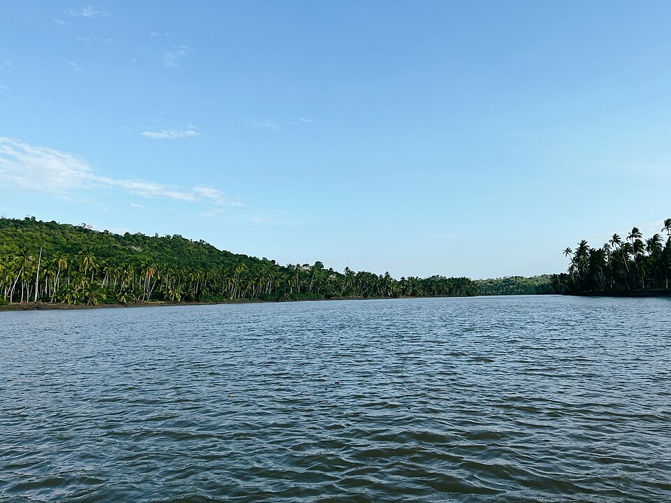 Pangani Basin still has water distribution capacity - Daily News