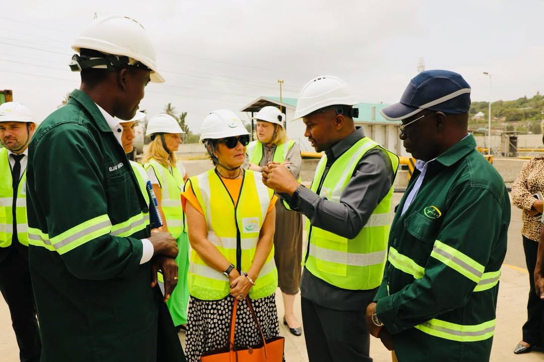 Sweden lauds TANESCO’s innovative power projects - Daily News