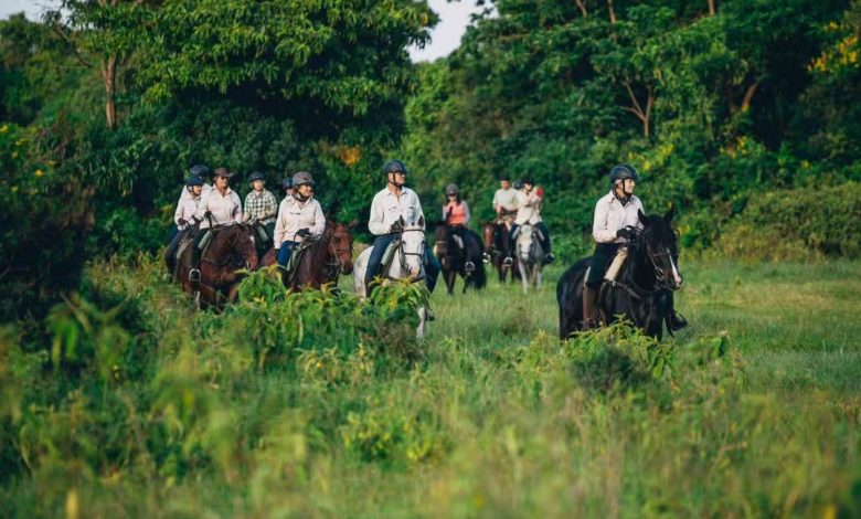 CNN Travel names Arusha as one of the favourite destinations for 2026 ...