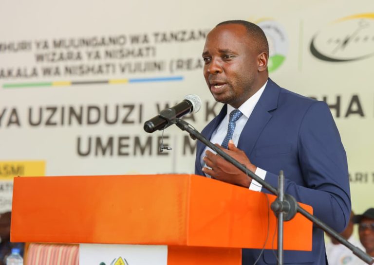 Tanzania enhances power supply as it inaugurates 9.7bn/- Mtera ...