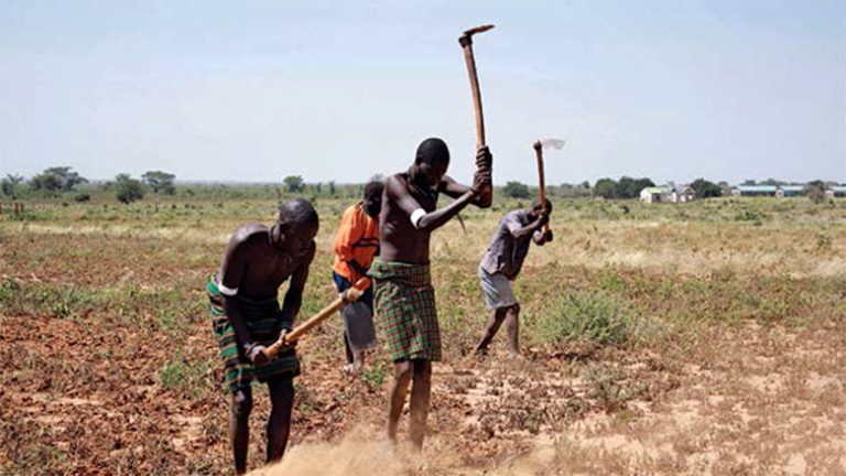 Reasons for Tanzanian farmers’ poverty extended - Daily News