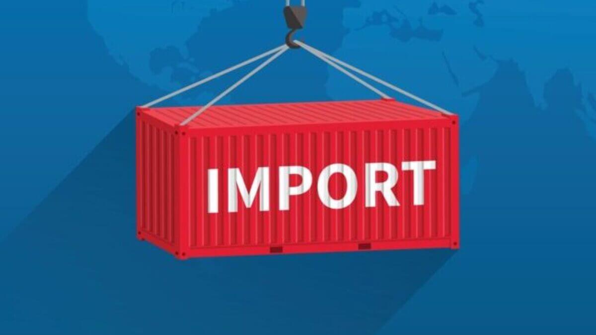 Imports surge on higher industrial supply demand - Daily News