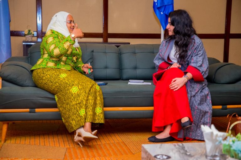 Tanzania tells UN conference how it empowers its women engaged in ...