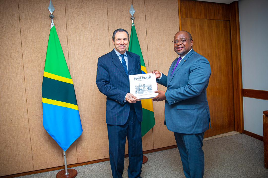 Tanzania and Brazil fast-track new cooperation deals, deepen ties in ...