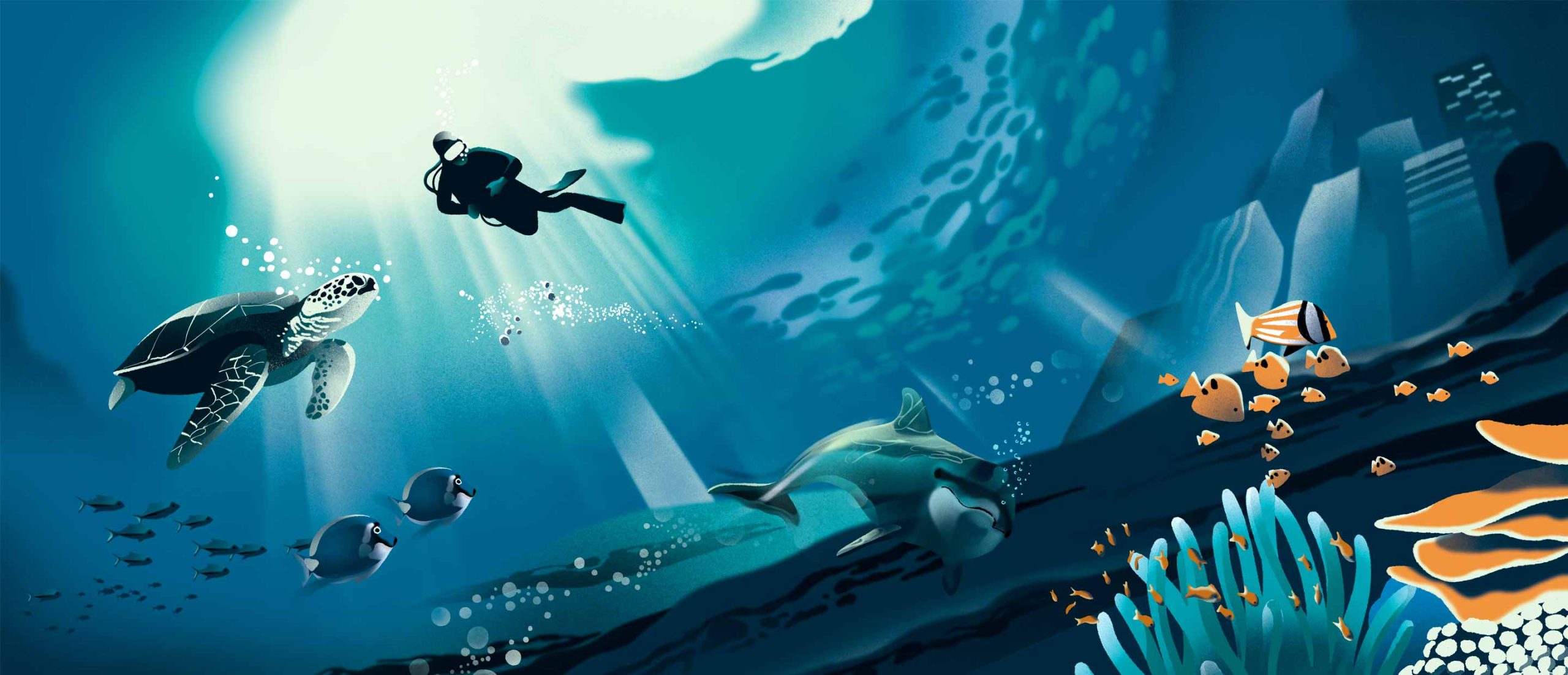 Zanzibar rolls out marine data plan to boost blue economy growth ...