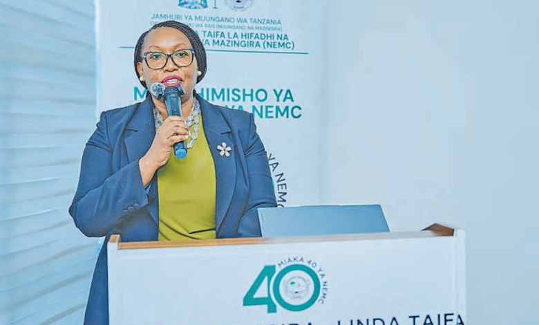 NEMC@40: Four decades of protecting TZ’s environment, economy - Daily News
