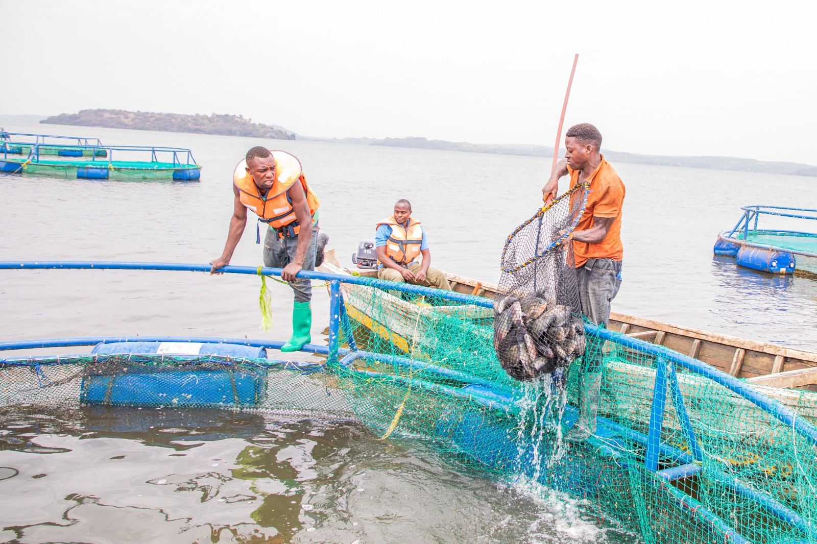 Tanzania hails ASDP II project as its 280.6bn/-Kilwa Masoko Fishing ...