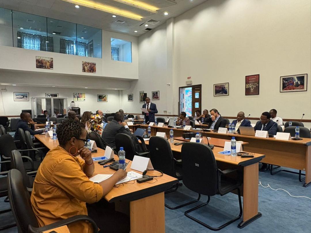 Tanzania, Brazil support the ILO campaign to end child labour in cotton ...