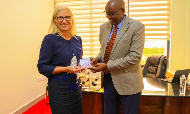 Tanzania, Australia renew strong ties in mining sector by transforming ...