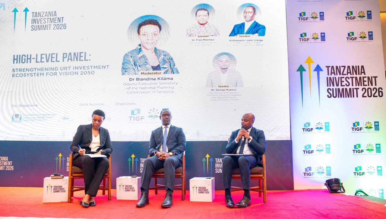 TISEZA lures investors in infrastructure, renewable energy, water ...