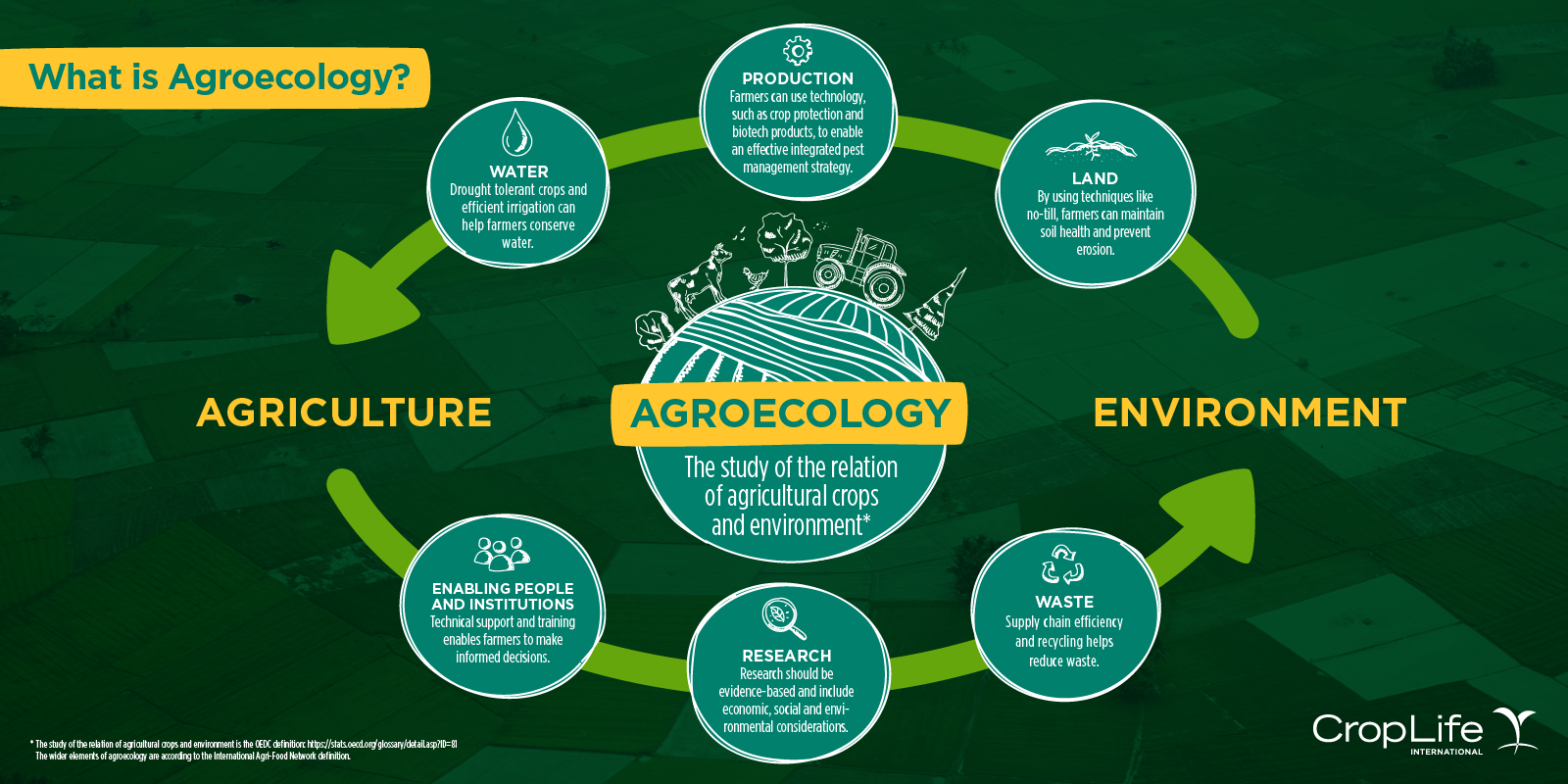 When farmers lead, agroecology delivers food security and resilience ...